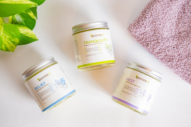 Rooted In – Rooted In